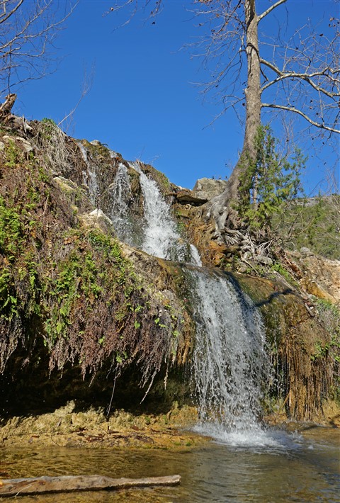 Austin ModHouse: Lost Maples, the perfect camping trip.